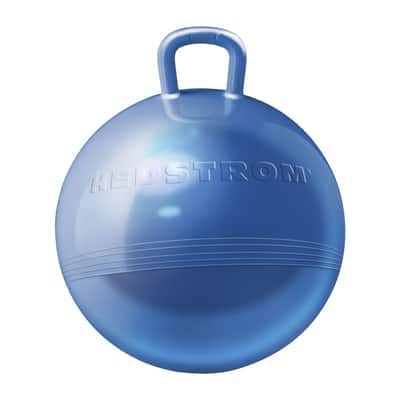 Hedstrom 15" Blue Metallic Hopper Ball | Michaels