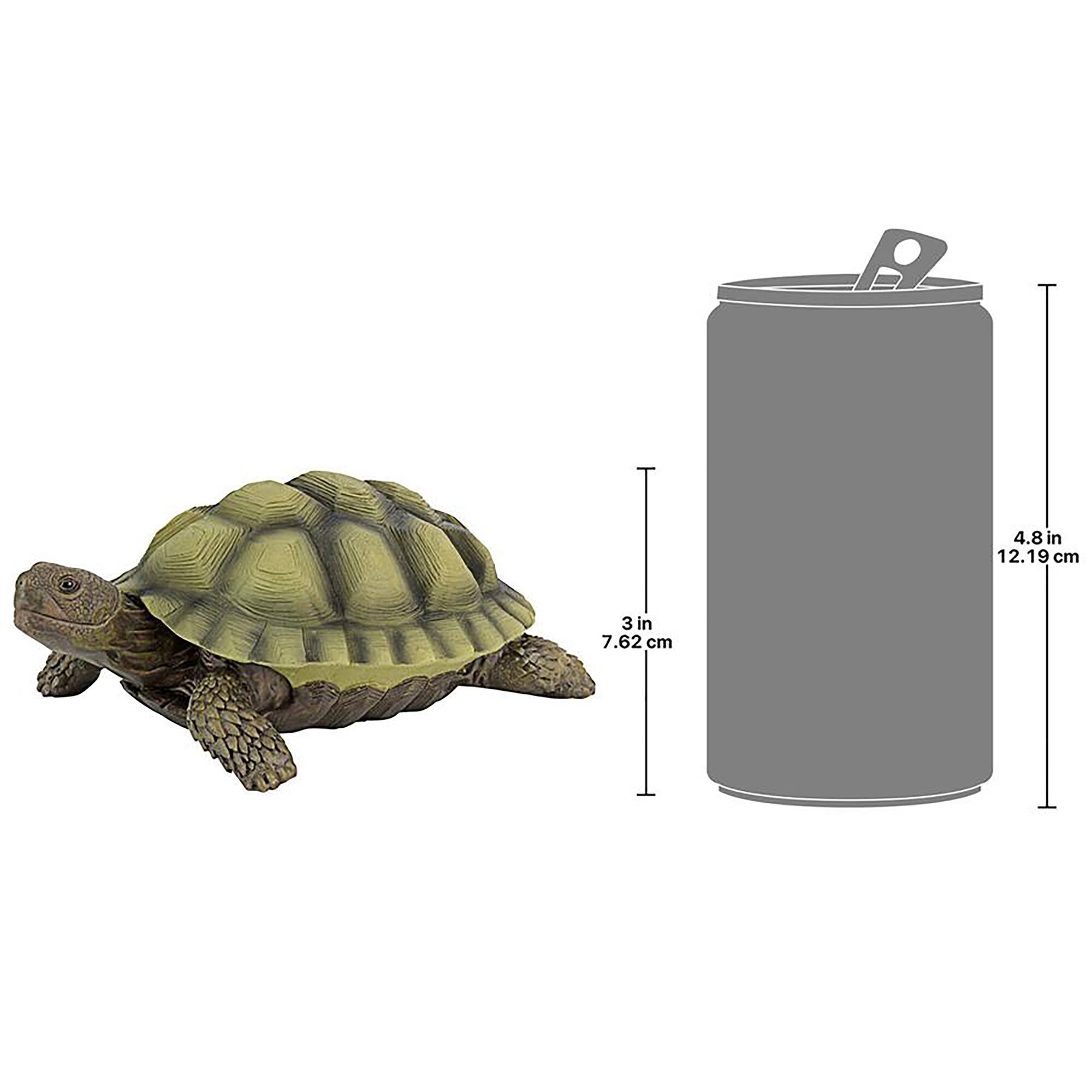 Design Toscano 3" Gilbert the Box Turtle Statue | Michaels