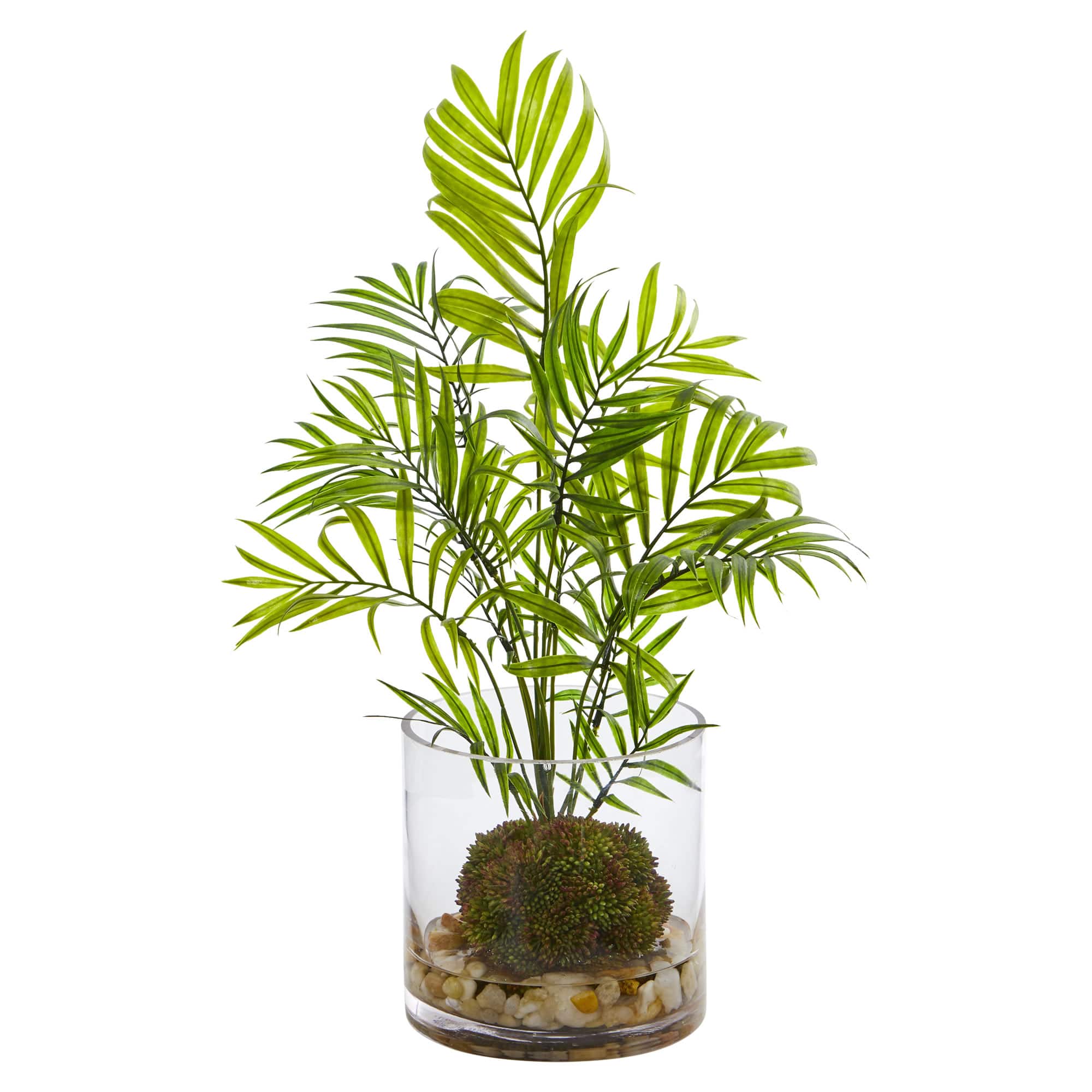 14" Mini Areca Palm Plant in Vase | Michaels
