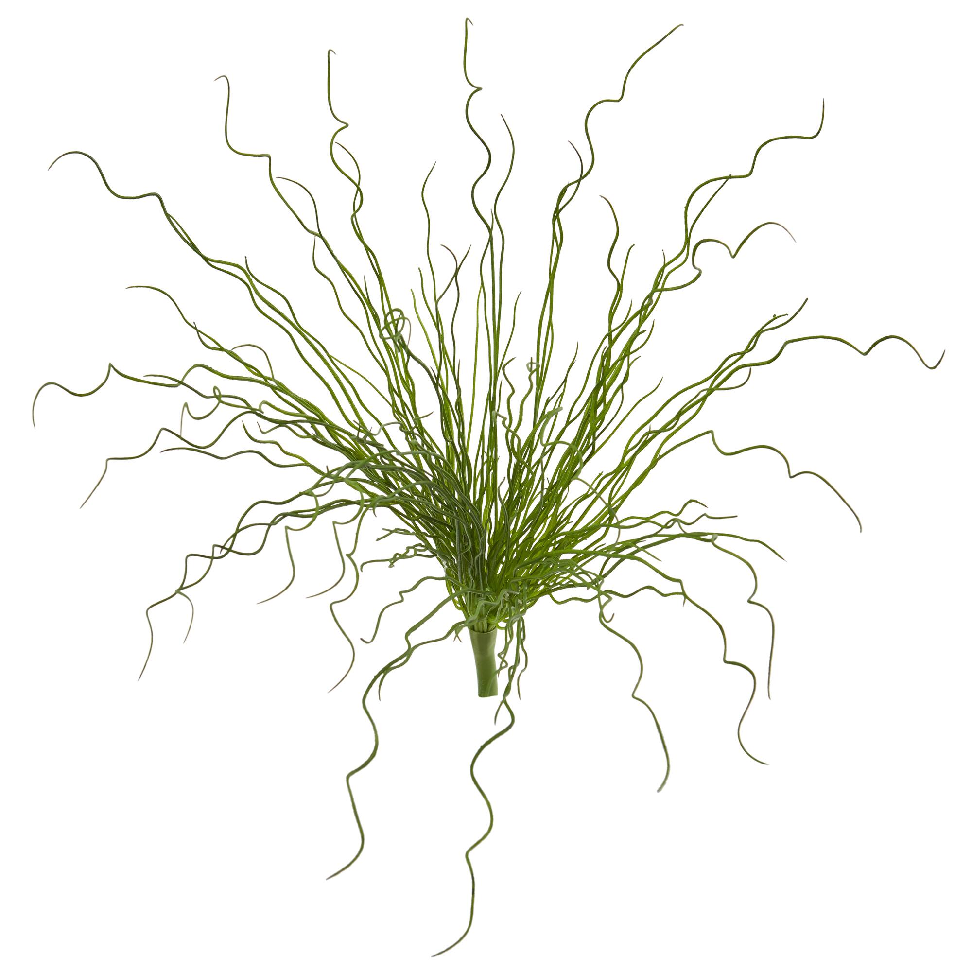 Curly Grass Plant, 6ct. | Michaels