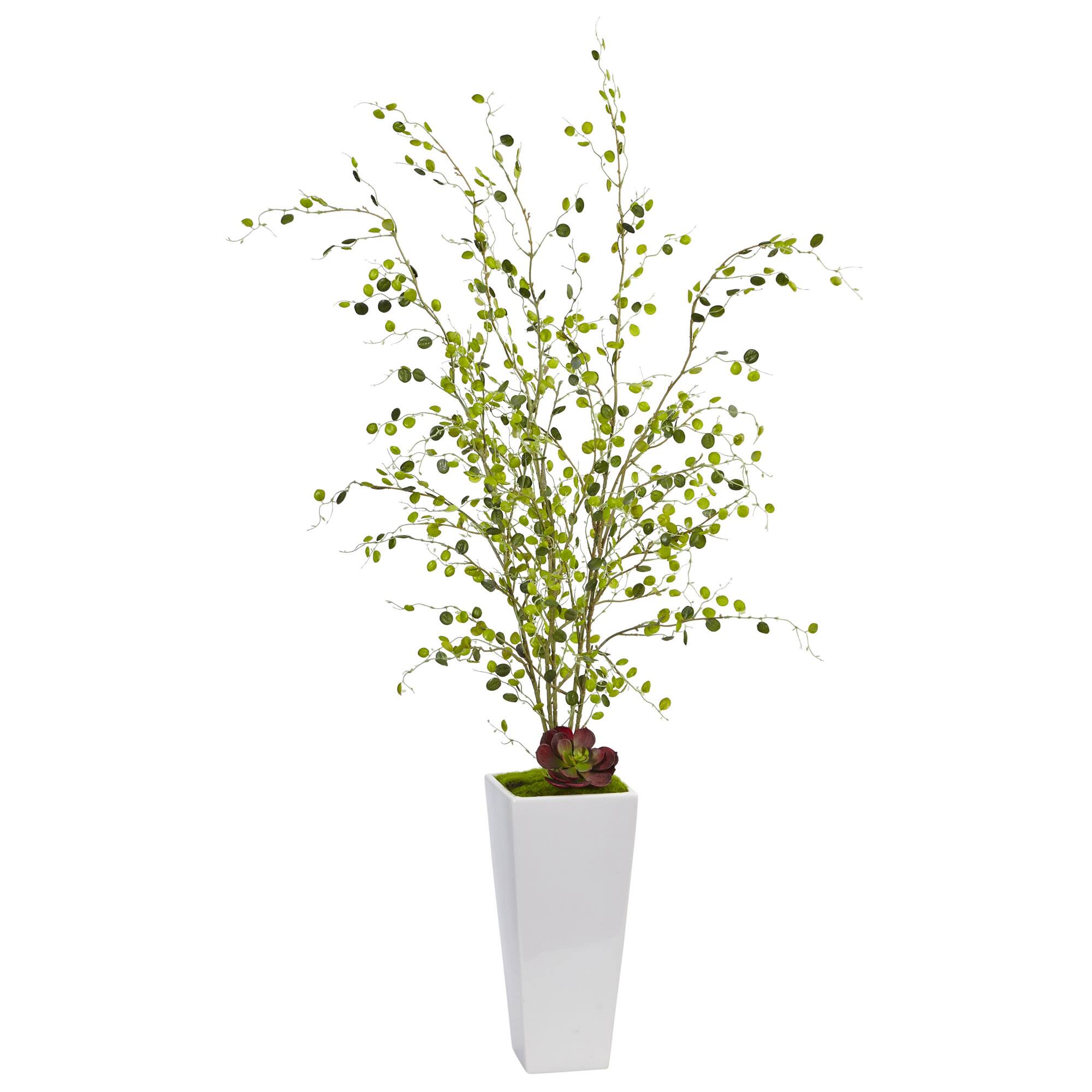 4ft. Night Willow in White Planter | Michaels