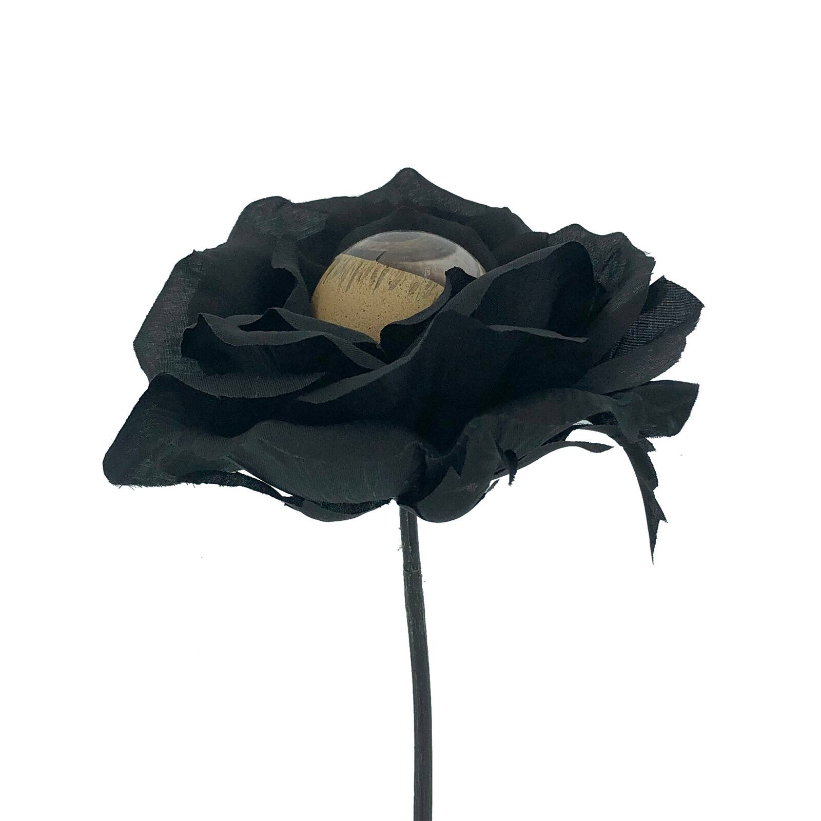 Black Rose with Eyeball Pick by Ashland® | Michaels