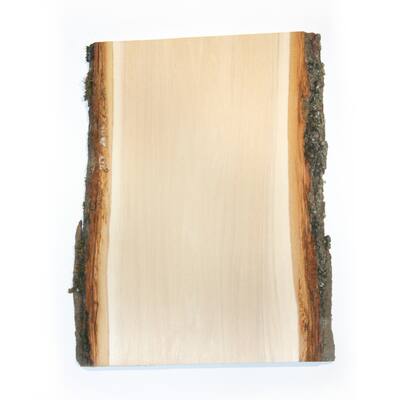 Wilson® Enterprises 13" x 10" Basswood Planks, 4ct. | Michaels