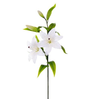 White Tiger Lily Stem, 2ct. | Michaels