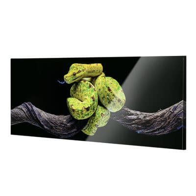 48" Green Tree Snake Glossy Lacquer Wall Art | Michaels