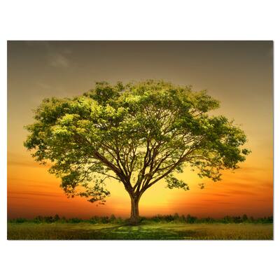 Designart - Green Tree against Setting Sun - Trees Canvas Art Print ...