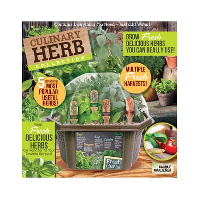 Biosphere Terrarium - Culinary Herb Collection | Michaels