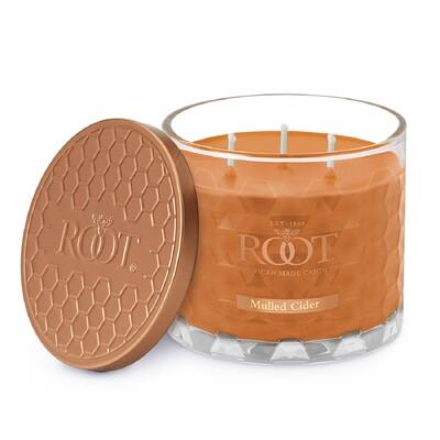 Root Candles Signature 3-Wick Honeycomb Beeswax Blend Jar Candle | Michaels