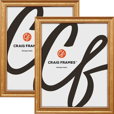 2 Pack Craig Frames Stratton Aged Gold Picture Frame | Michaels