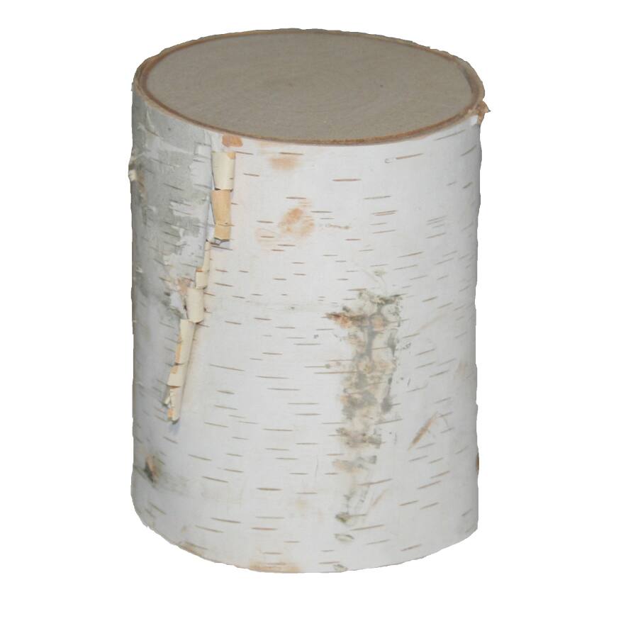 Wilson® Enterprises Birch Pillar Set, 4ct., Size: 5" | Michaels