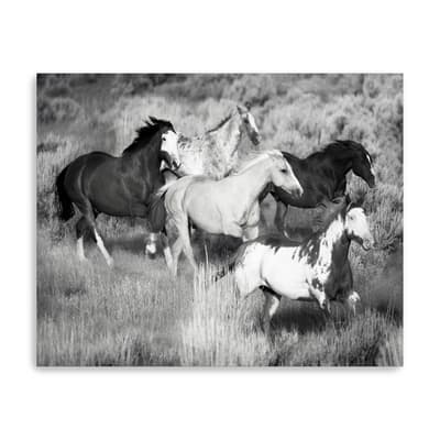 Prairie Run Canvas Giclee | Michaels