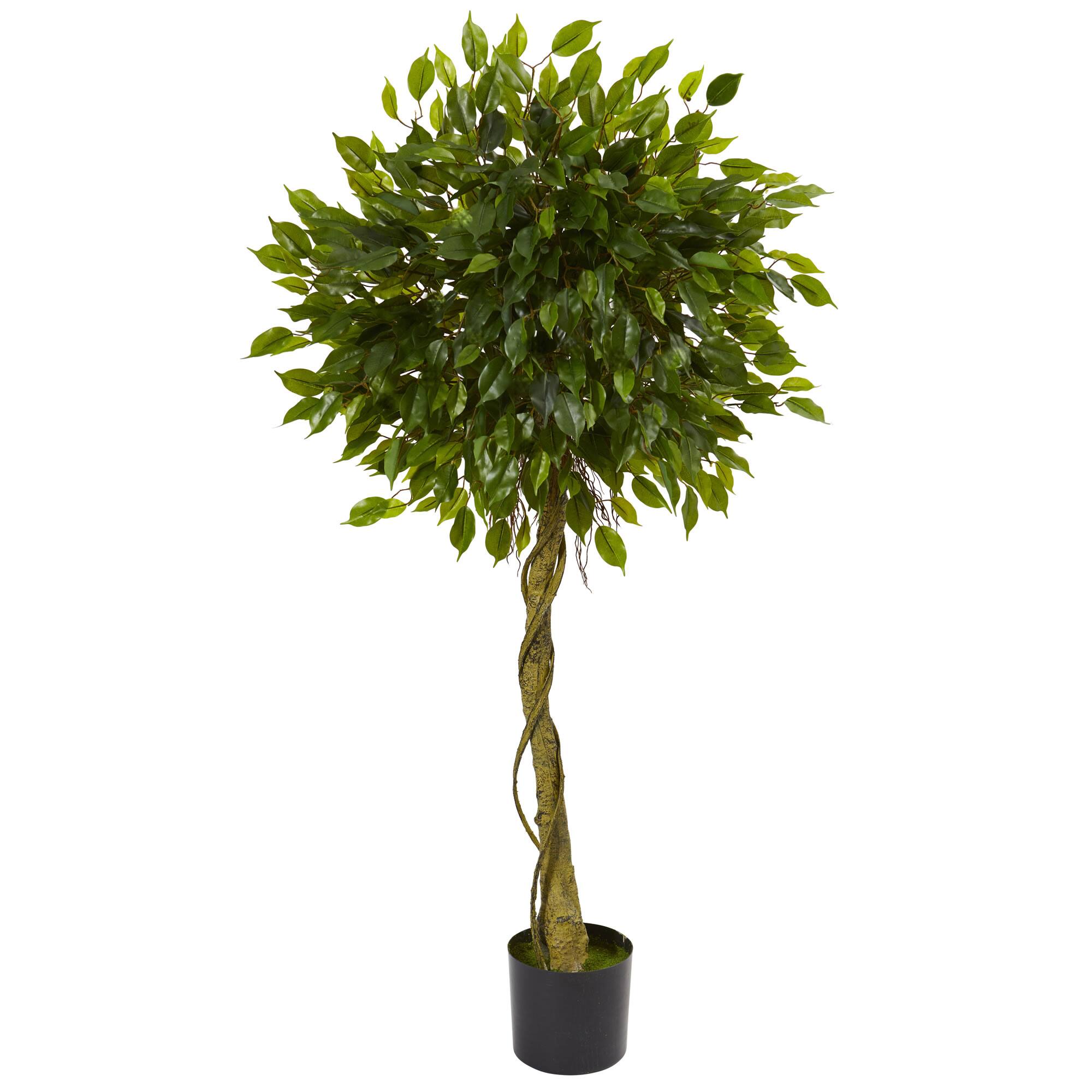 5ft. Potted Ficus Topiary | Trees & Floor Plants | Michaels