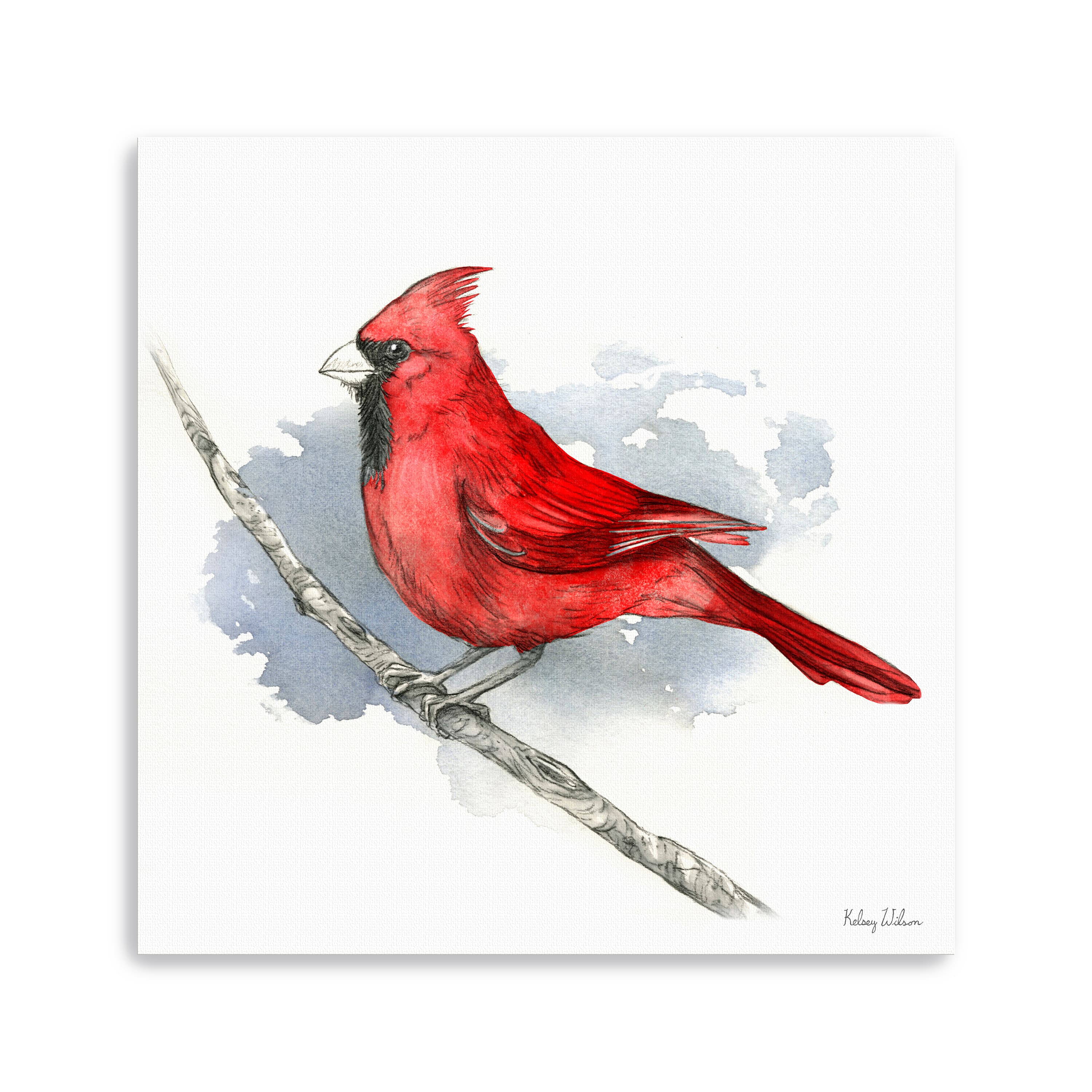 Birds Branches I Cardinal Canvas Giclee | Michaels