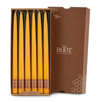 Root Candles 12" Unscented Taper Candles, 12ct., Color: Butterscotch ...