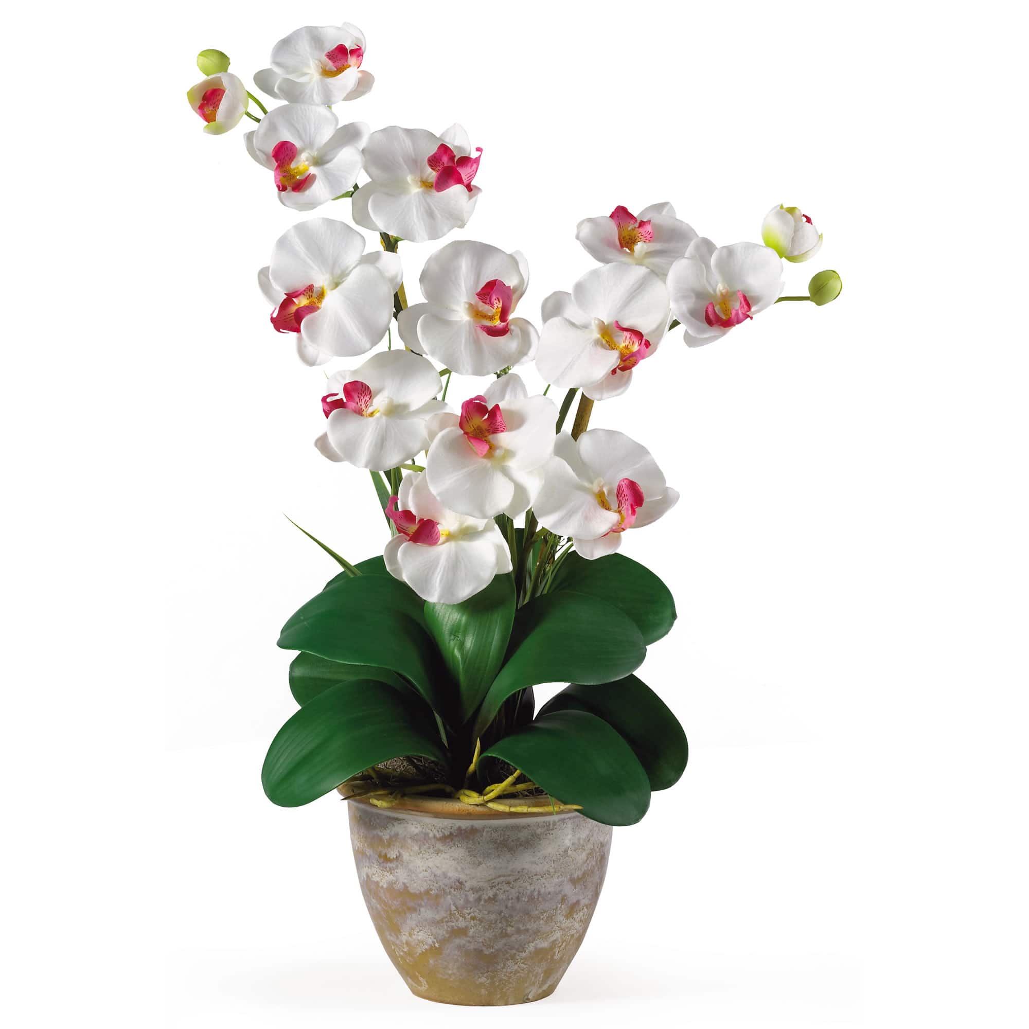 2ft. Double Moth Orchid Silk Flower Arrangement | Michaels