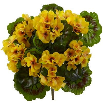 Yellow Geranium Bush, 4ct. | Michaels