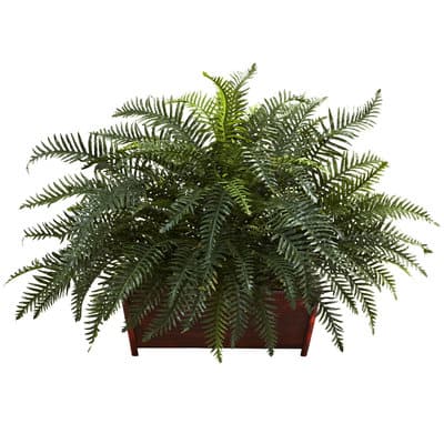2.5ft. River Fern in Wood Planter | Michaels