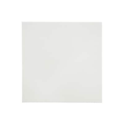 White Cotton Duck Canvas by Craft Smart™, Size: 14" x 14" | Michaels