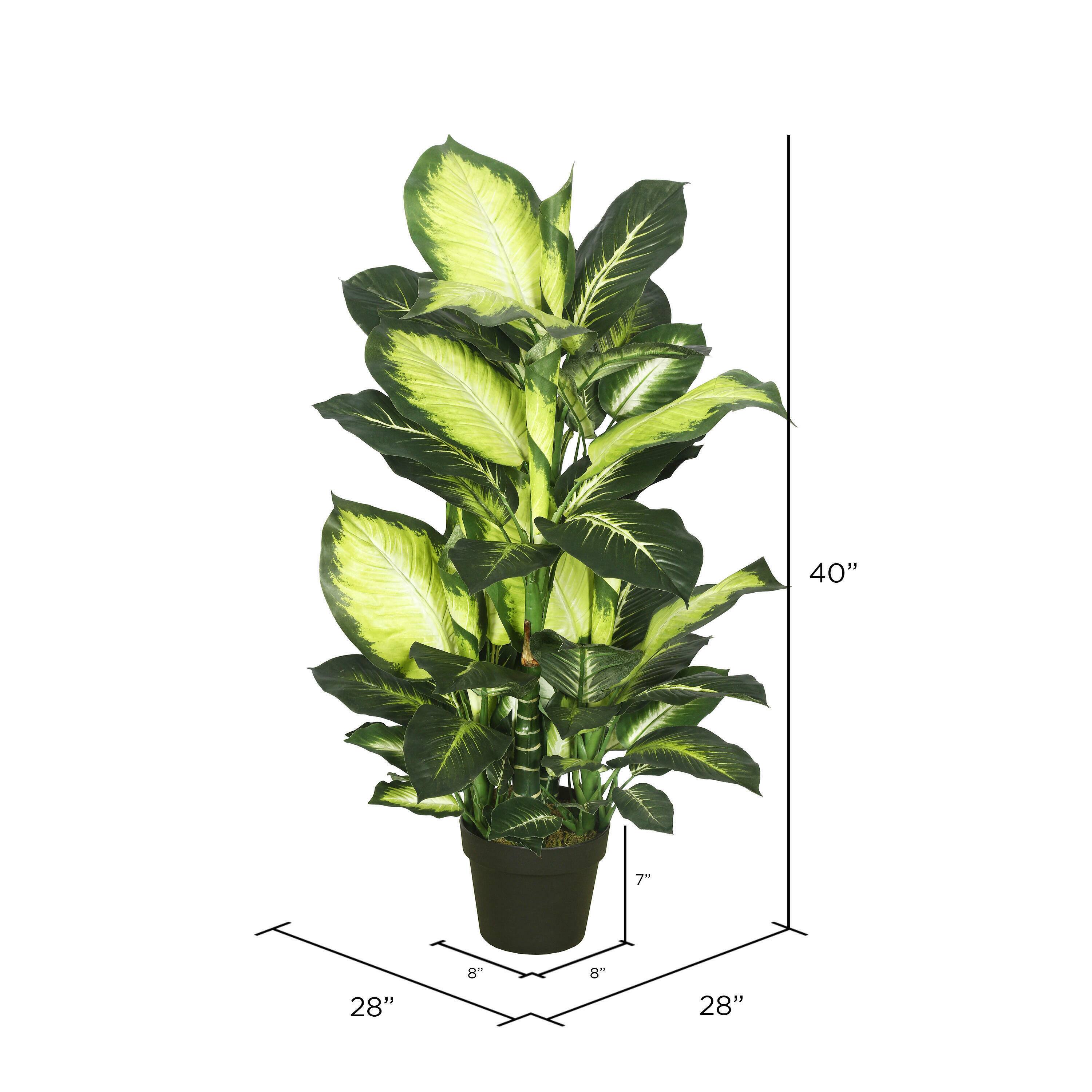 3.3ft. Potted Artificial Green & White Dumb Cane Tree | Michaels