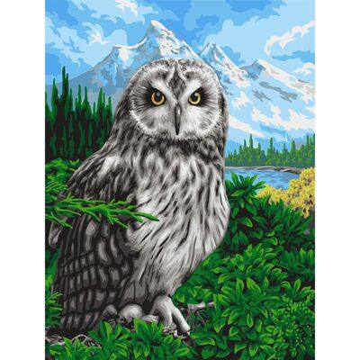 Crafting Spark Spring Owl Painting by Numbers Kit | Michaels