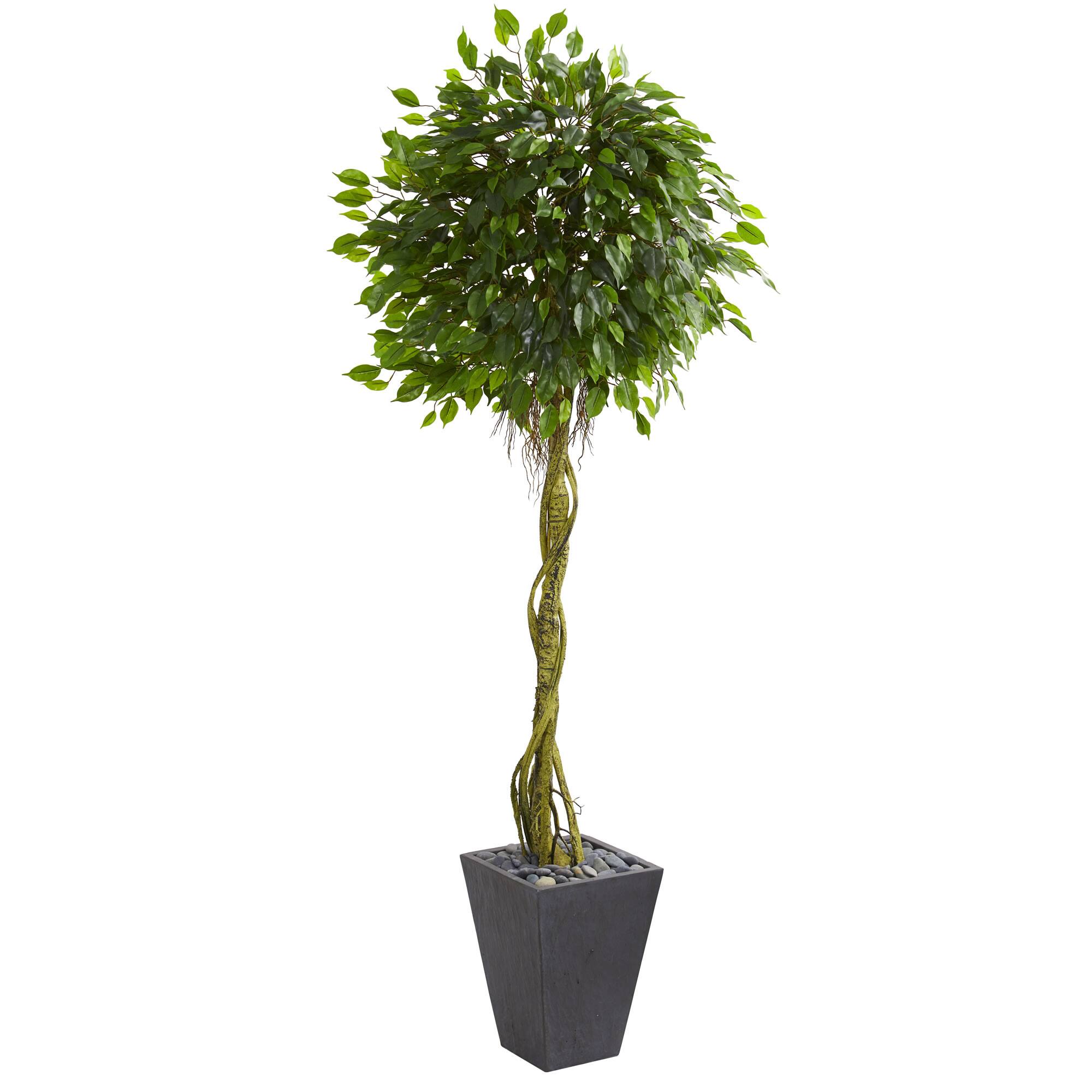 6ft. Ficus Tree in Slate Tower Planter | Michaels