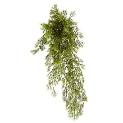 Buy in Bulk - 12 Pack: Green Springeri Fern Bush by Ashland® | Michaels