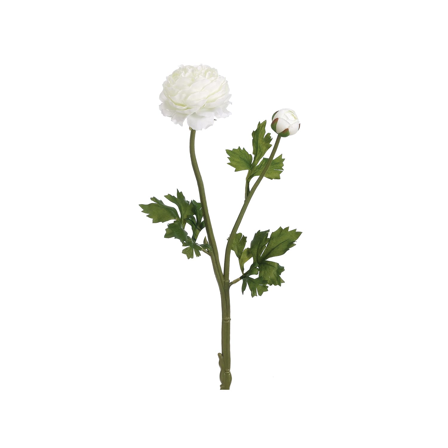 Buy in Bulk - 24 Pack: White Ranunculus Stem | Michaels