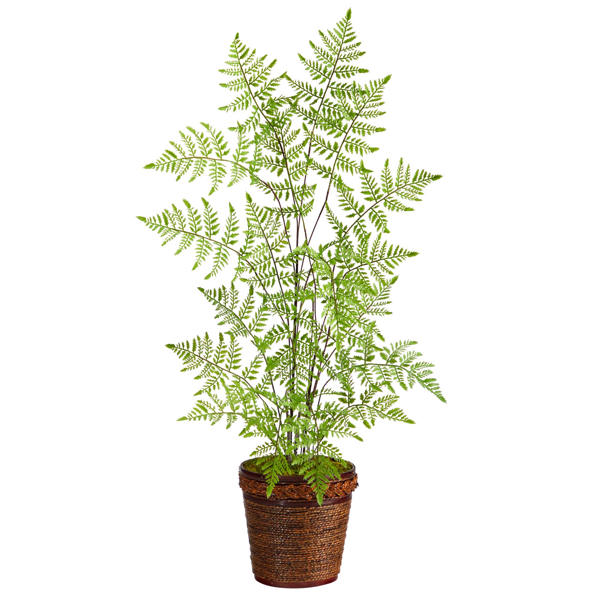 3ft. Ruffle Fern Artificial Tree in Basket | Michaels