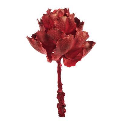 Dried Red Queen Flower Stem | Michaels