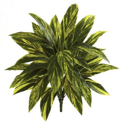 Green Spiderwort Bush, 6ct. | Michaels
