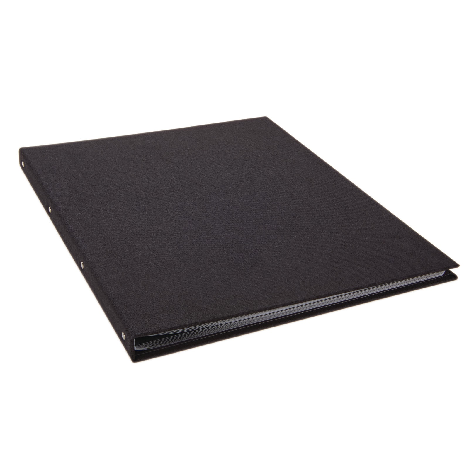Itoya® Professional ProFolio® Presentation Book | Michaels