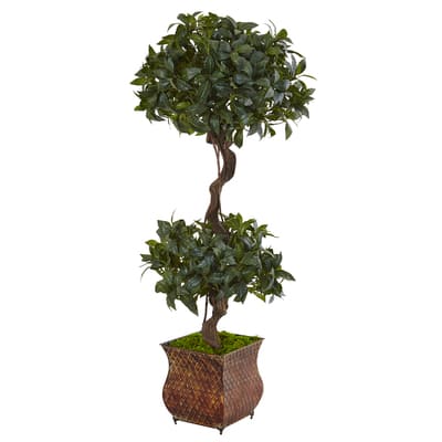 4.5ft. Sweet Bay Magnolia Double Topiary Tree in Metal Planter | Michaels