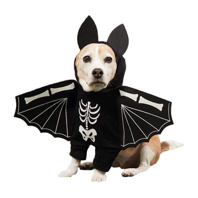 Assortiment de costumes d'Halloween pour chien de chauve-souris, 1 ...