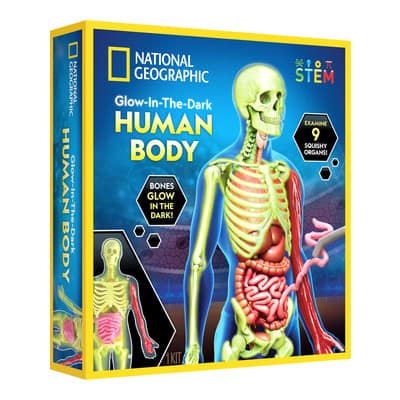 National Geographic™ Glow-in-the-Dark Human Body | Michaels