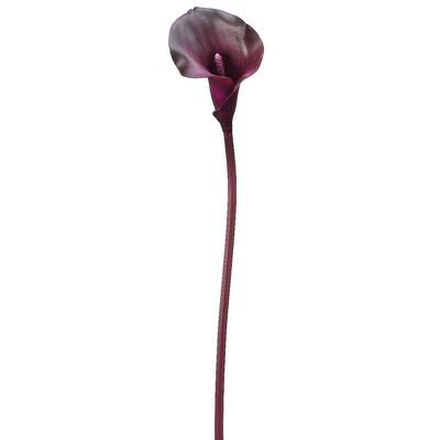 Eggplant Calla Lily Stem | Floral Stems | Michaels
