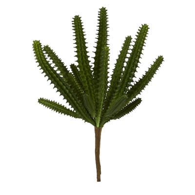 Finger Cactus Plant, 12ct. | Michaels