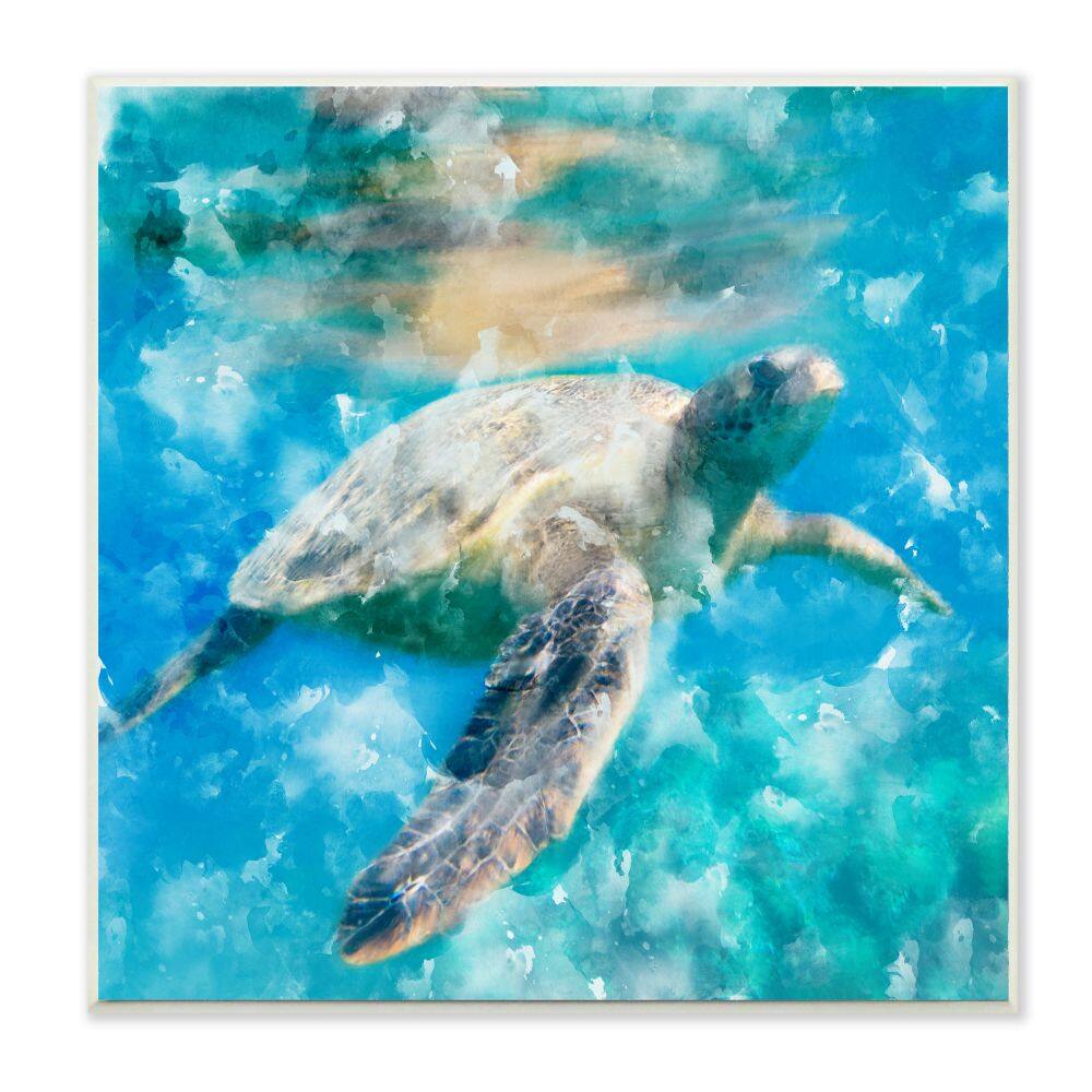 Stupell Industries Swimming Sea Turtle Aquatic Reptile Design Wood Wall ...