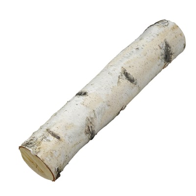 Wilson® Enterprises X-Large White Birch Log Set, Size: Small | Michaels