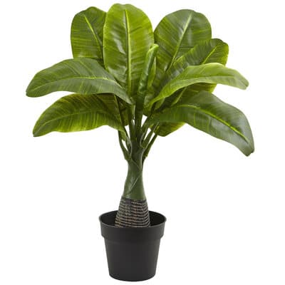 16" Potted Mini Banana Plant | Michaels