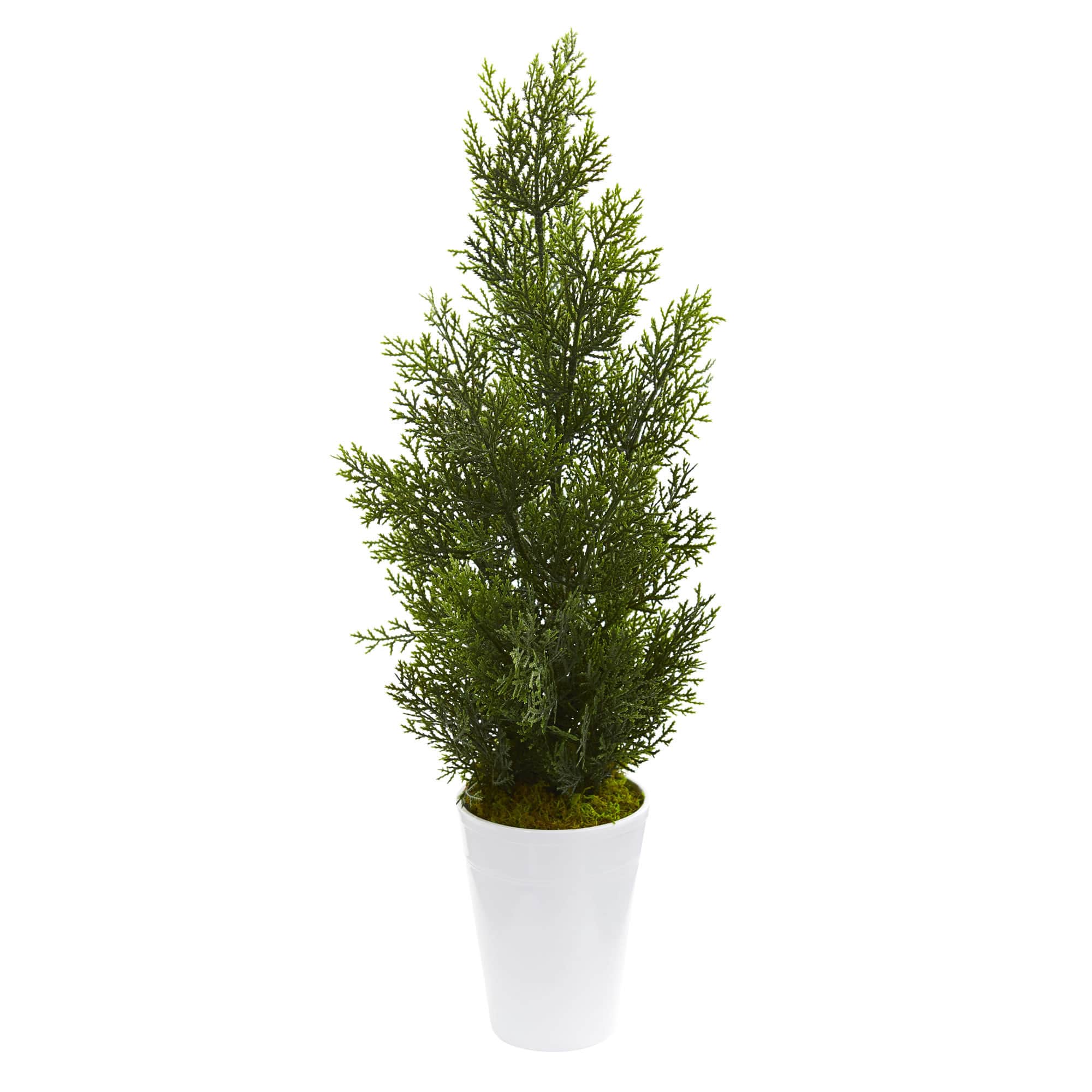 2.5ft. Mini Cedar Pine Tree in Decorative Planter | Michaels