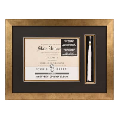 2 Opening Gold 8.5" x 11" Document & Tassel Frame with Double Mat by ...