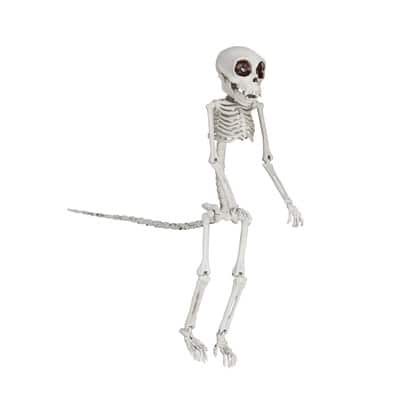 Hello Honey® 23.5" Natural Plastic Monkey Skeleton Décor | Michaels