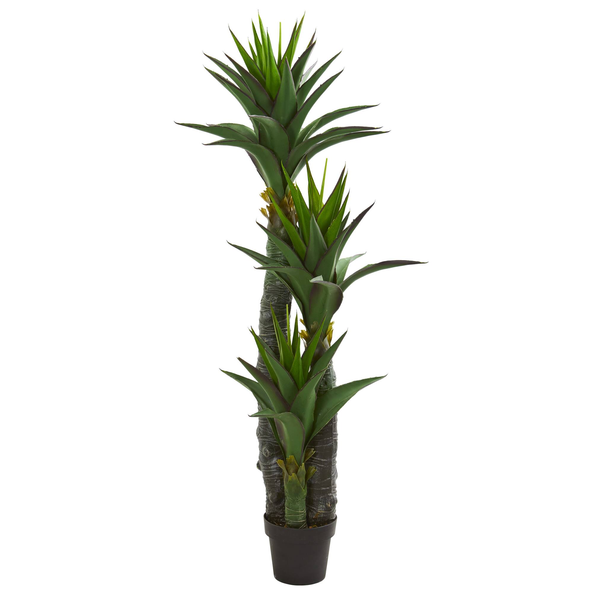 5ft. Potted Triple Stalk Yucca Tree | Trees & Floor Plants | Michaels