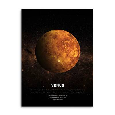 Venus Canvas Giclee | Michaels