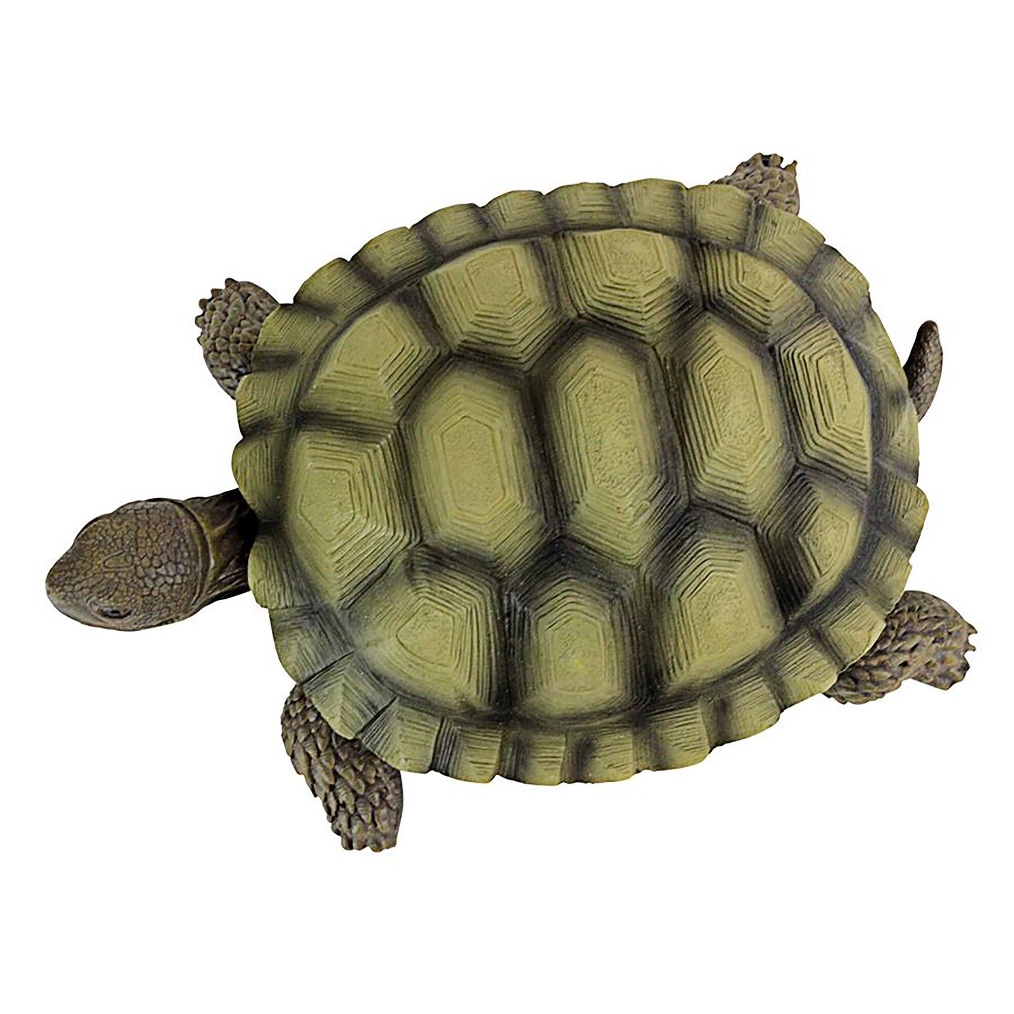Design Toscano 3" Gilbert the Box Turtle Statue | Michaels