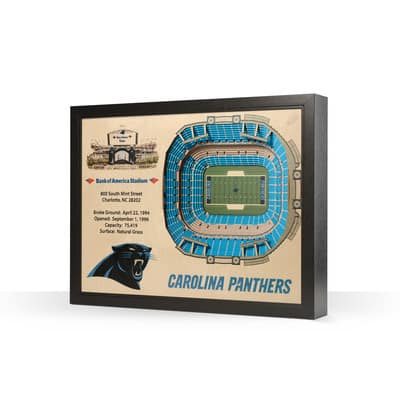 NFL 25 Layer StadiumView Wall Art, Color: Carolina Panthers | Michaels