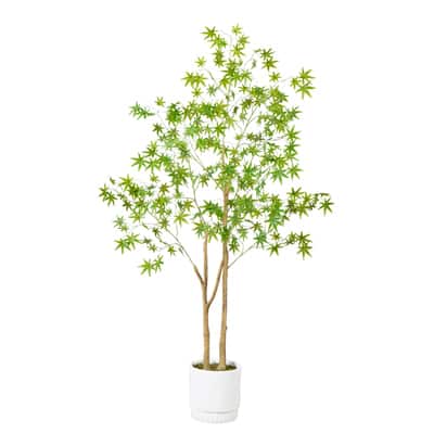 6ft. Maple Tree with White Planter | Michaels