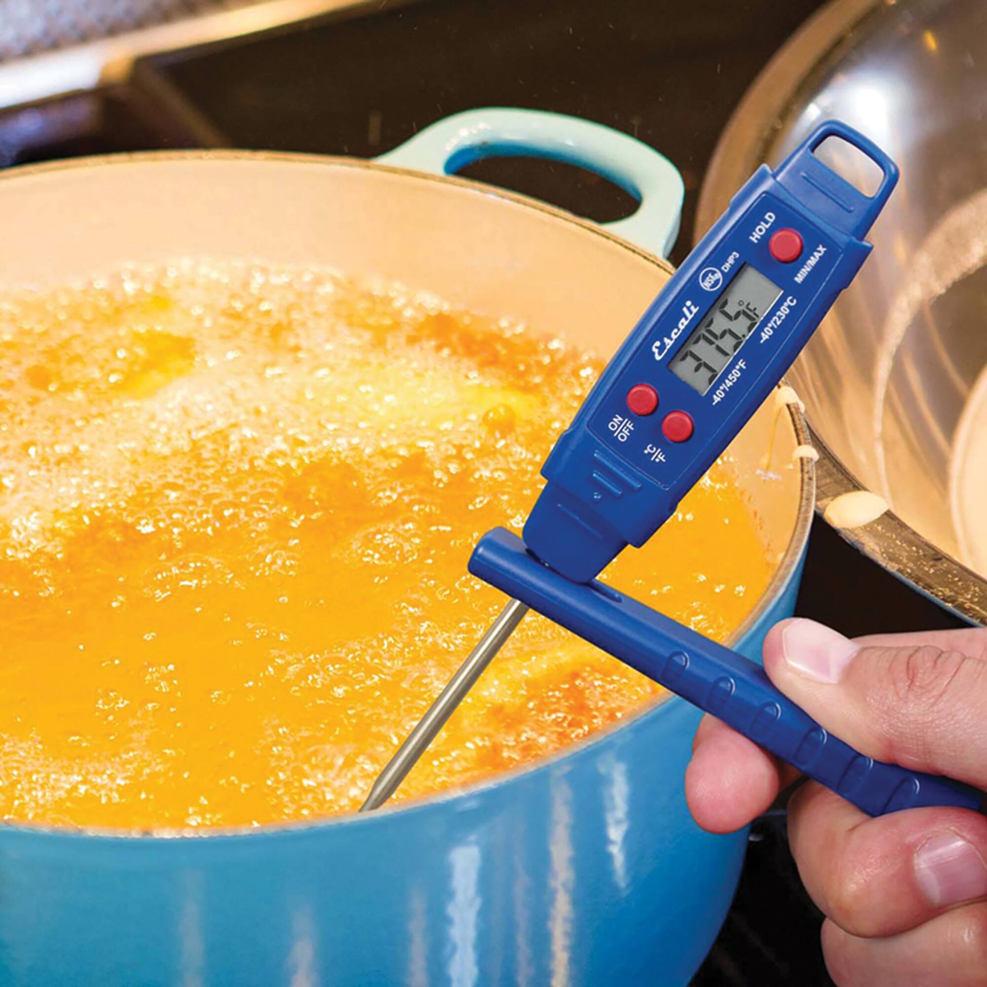 Escali Blue Waterproof Digital Thermometer | Thermometers | Michaels