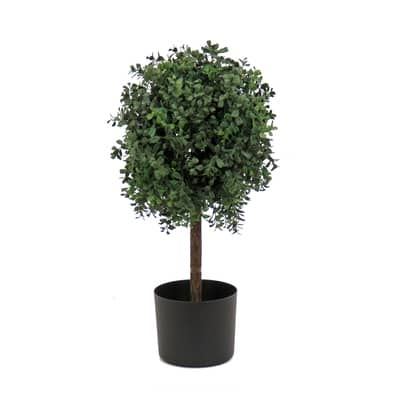 2ft. Boxwood Single Ball Topiary in Nursery Pot | Michaels