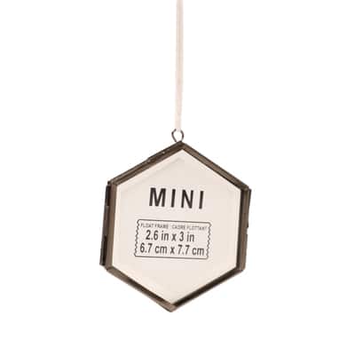 Mini Hexagon Float Frame by Studio Décor® | Michaels